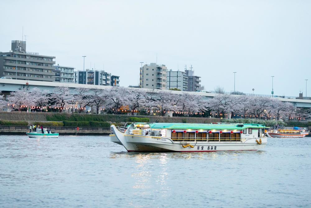 Spring Season - Yakatabune AMITATSU / Dinner cruise Tokyo Asakusa & Daiba sightseeing